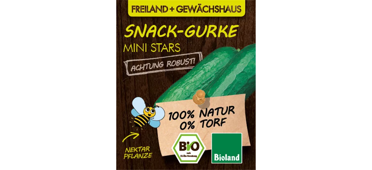 Bio Snack-Gurke 'Mini Stars' online kaufen bei Olerum