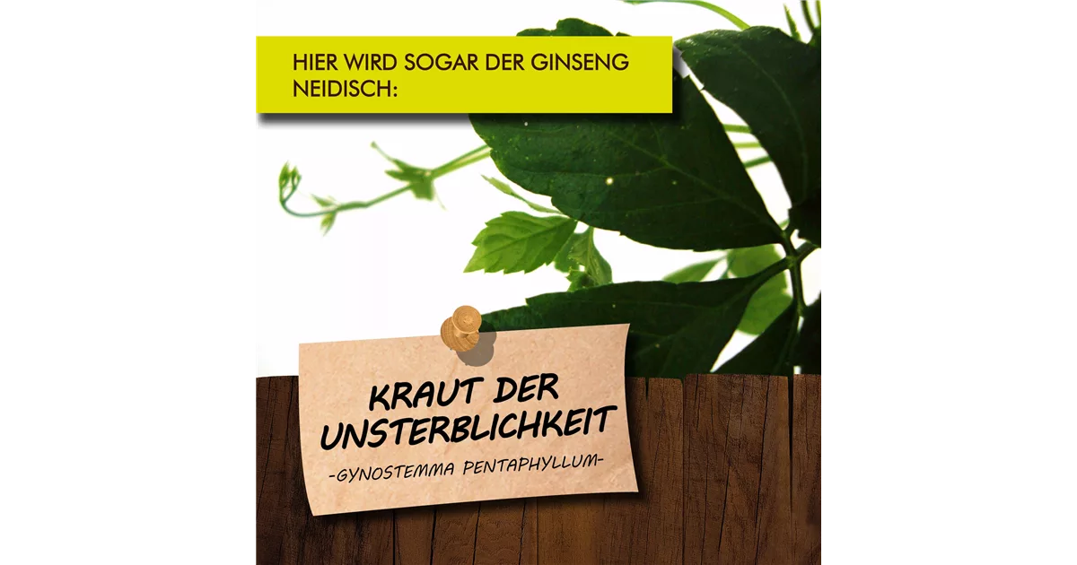 Kraut Der Unsterblichkeit Verboten