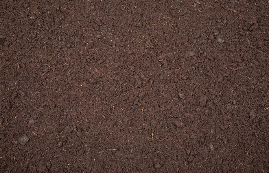 Pflanzenerde eine gute Alternative zur Blumenerde? | Olerum